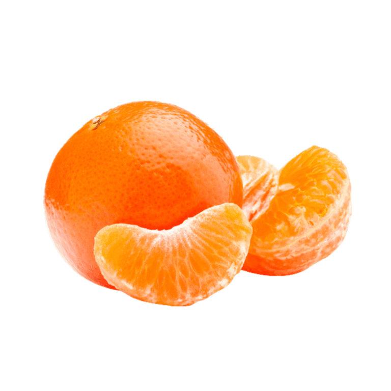 MANDARINA – Procesadora Avila Frut